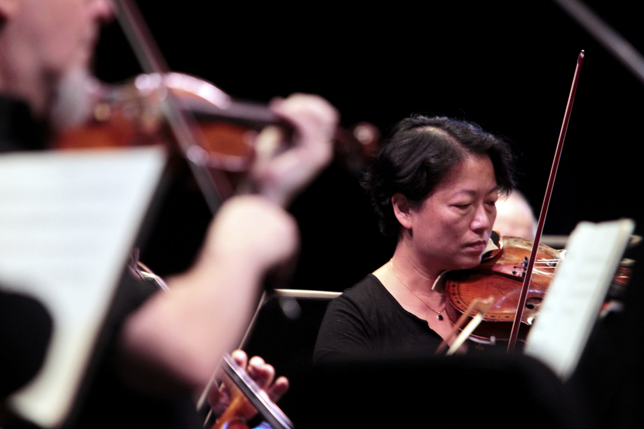 Local 802 musicians perform for the next generation with Orchestra of ...